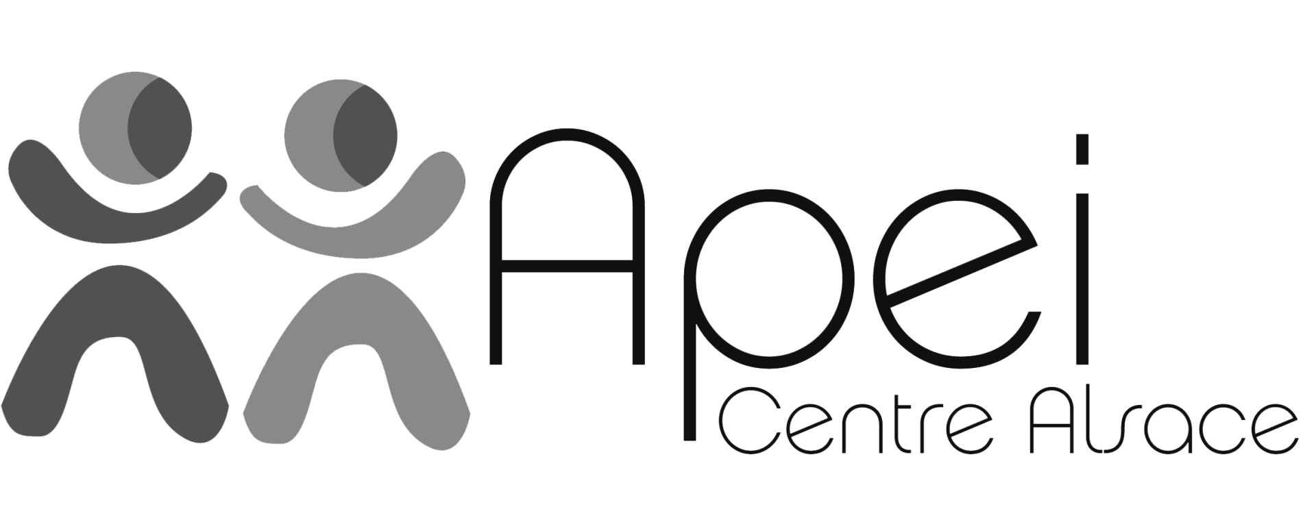 LOGO apei noir fond transparent | L'Évasion